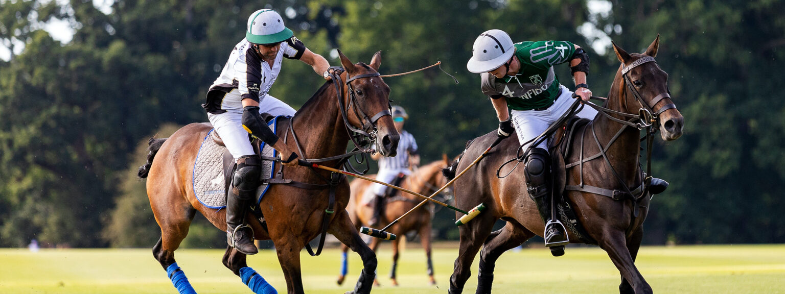 Equine Stimulation - BET Labs